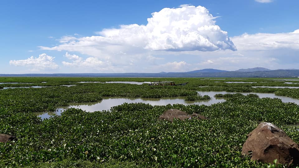 dunga beach 2 - Flexi Biogas